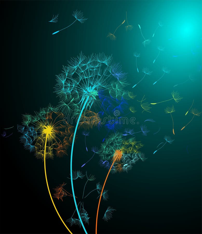 Rainbow Dandelions in the Wind on a Dark Background Stock Vector ...