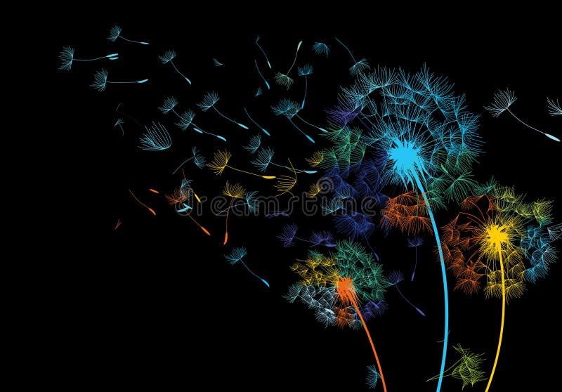 Rainbow Dandelions in the Wind on a Dark Background Stock Vector ...