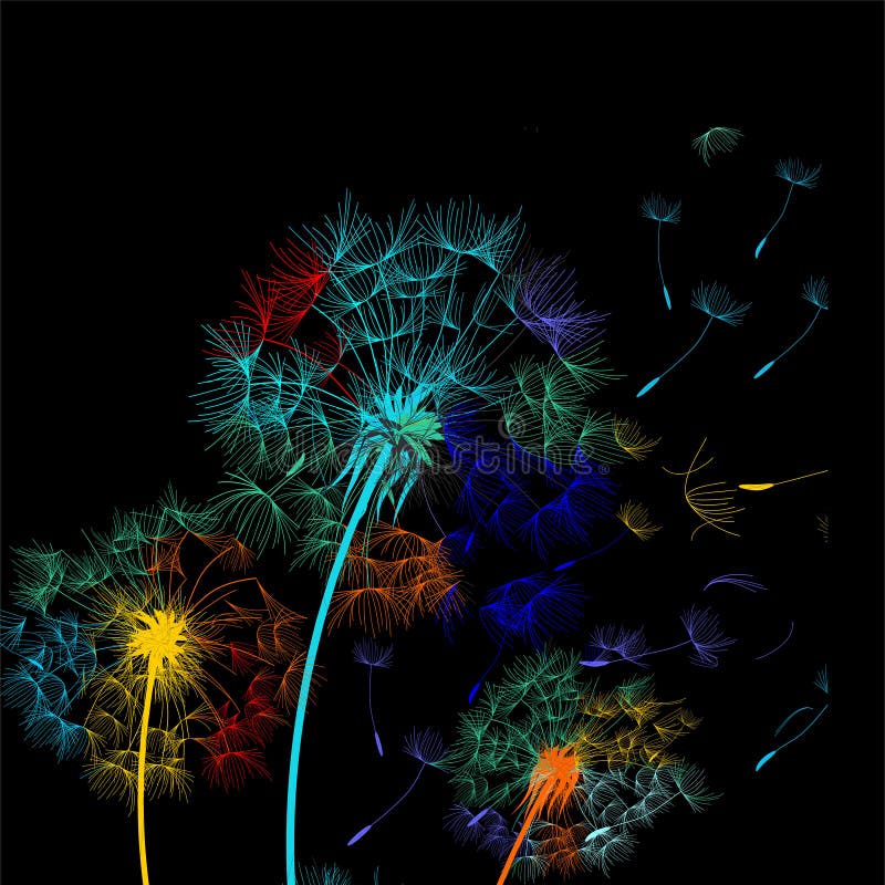 Rainbow Dandelions in the Wind on a Dark Background Stock Vector ...