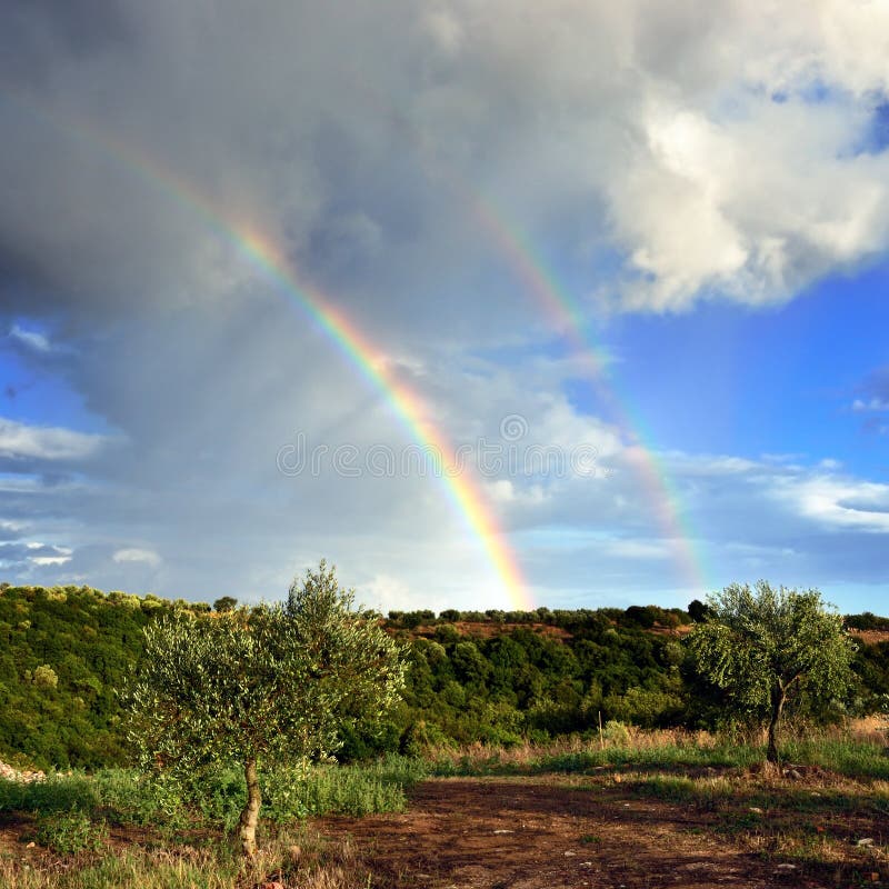 Rainbow stock photo. Image of tree, season, europe, green - 34984346