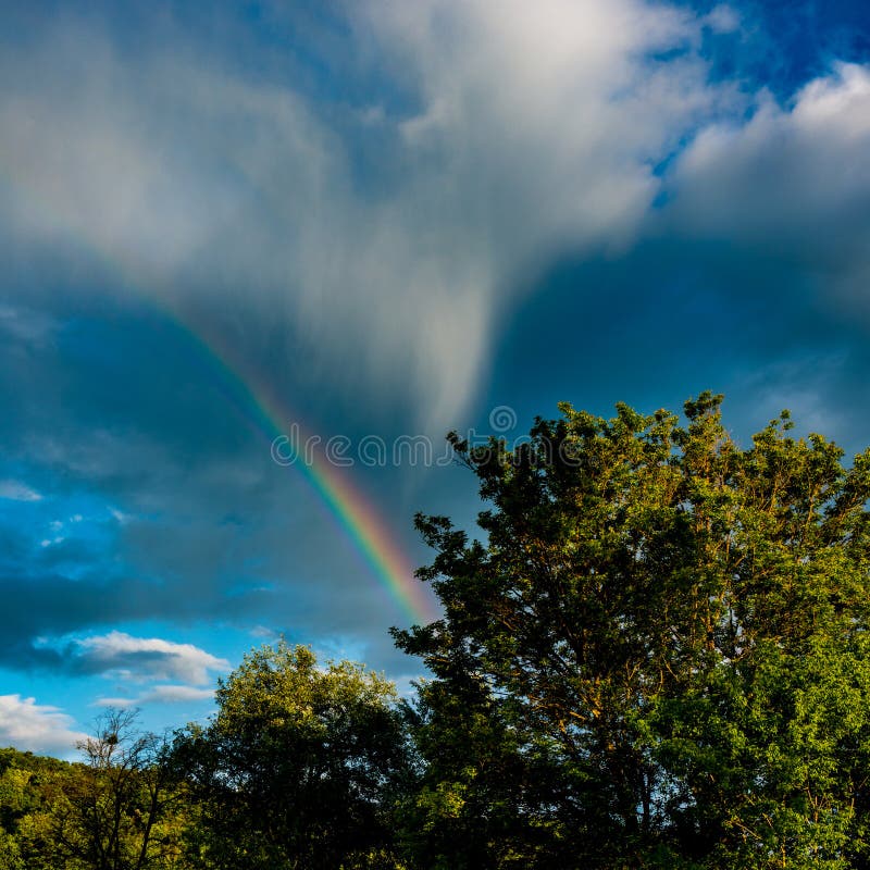 Rainbow in the Evening Sky during the Rain Stock Photo - Image of ...