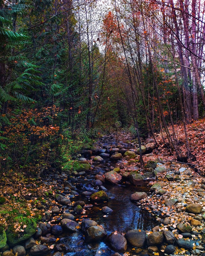 Rainbow Fall in Vancouver stock photo. Image of vancouver - 164776784