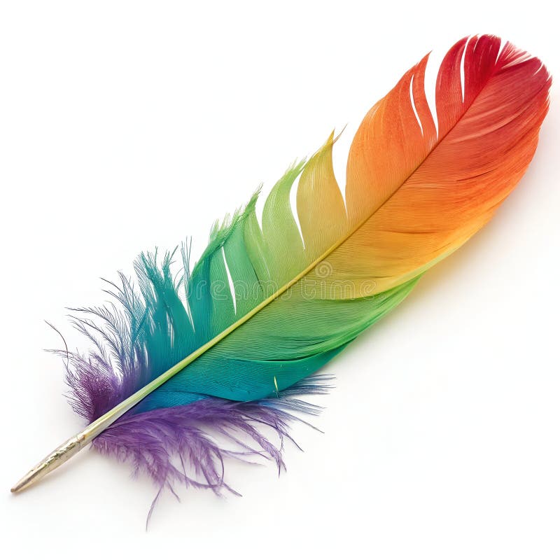 Rainbow Feather Isolated on White Background Stock Illustration - Illustration of colorful ...