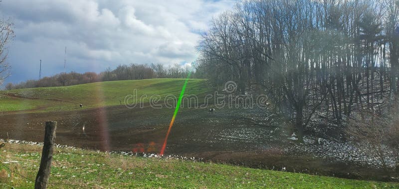 Rainbow Fence post stock image. Image of flower, lawn - 215123029