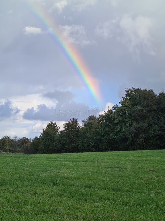 Rainbow field stock photo. Image of blue, landscape, green - 19540234