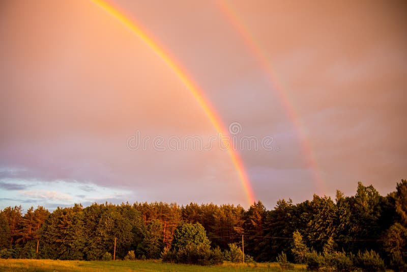 Rainbow field stock photo. Image of blue, landscape, green - 19540234