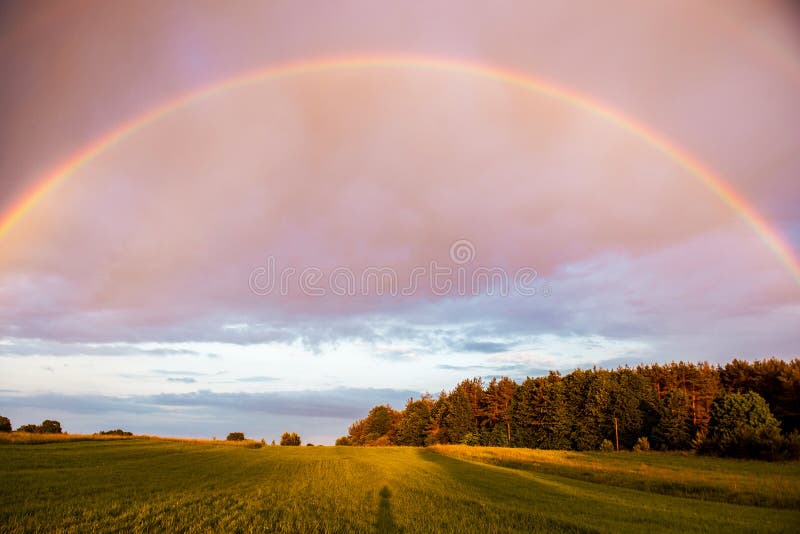 Rainbow field stock photo. Image of blue, landscape, green - 19540234