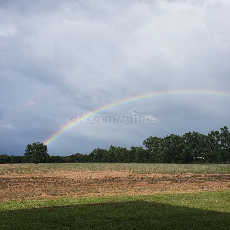 Rainbow field stock photo. Image of blue, landscape, green - 19540234