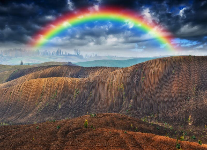 Rainbow field stock photo. Image of blue, landscape, green - 19540234