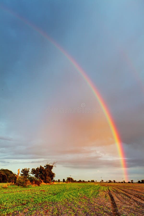 Rainbow on Field - Vertical Stock Image - Image of path, horizon: 33797189