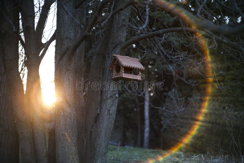 Rainbow flare and bird stock image. Image of rainbow - 145149633