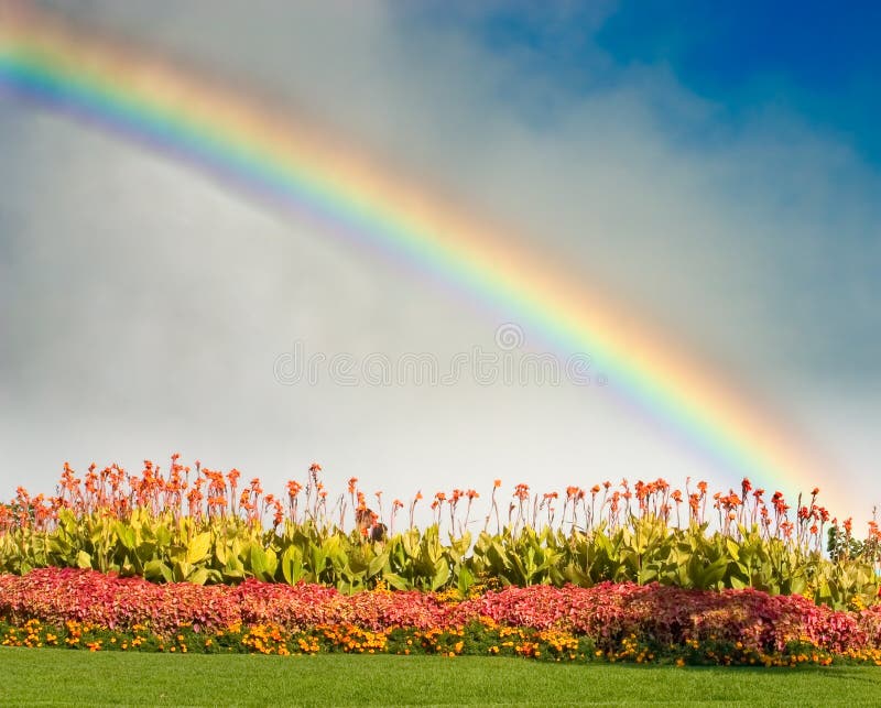 Rainbow and Flowers stock image. Image of color, botanic - 1427313