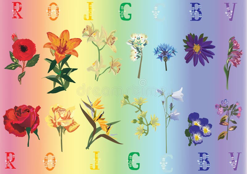 Rainbow with flowers stock vector. Illustration of event - 3261667