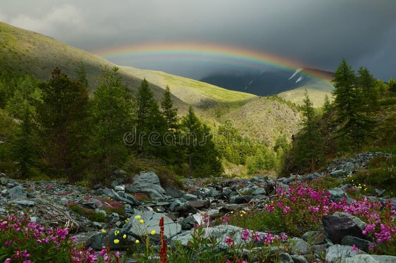 Rainbow over forest stock image. Image of hill, weather - 4331749