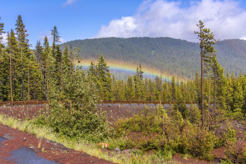 Rainbow in the Forest Oregon Wilderness Stock Photo - Image of scenery ...