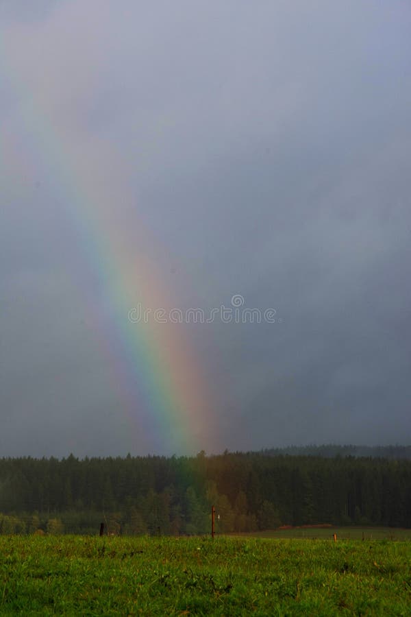 Rainbow Growing from the Power Pole Stock Photo - Image of colours ...