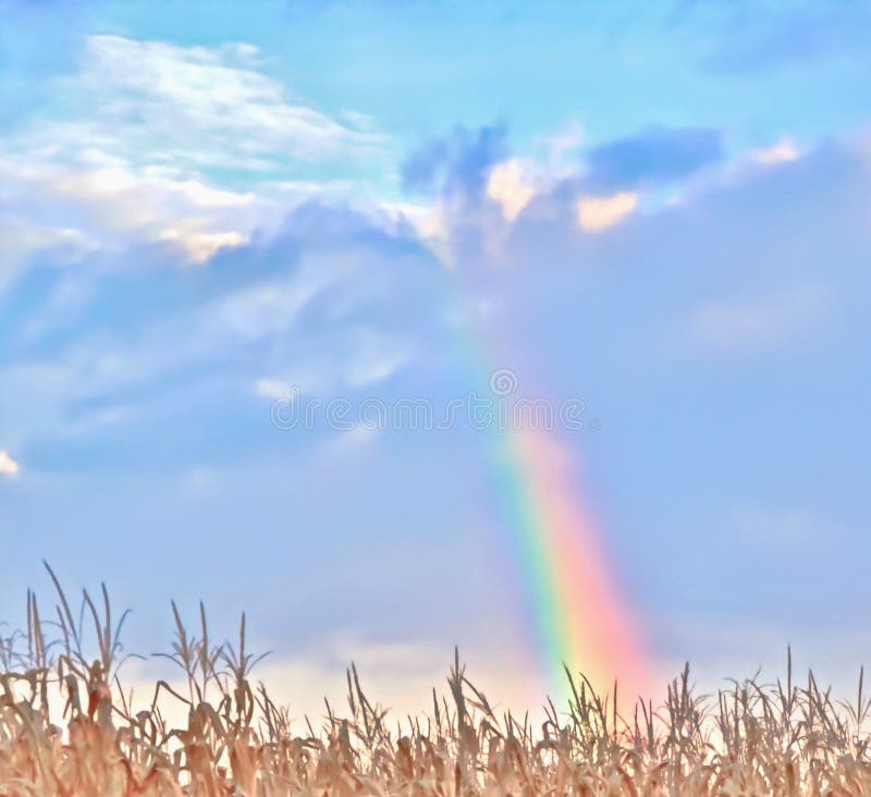 Rainbow Harvest stock image. Image of illuminate, farm - 35105485