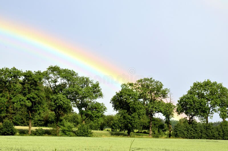 Rainbow after heavy rain stock image. Image of leaves - 28167461
