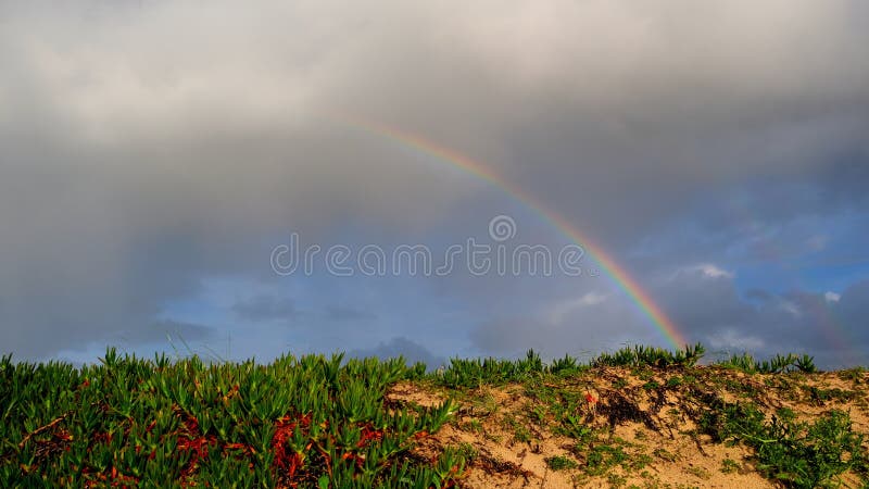 Rainbow after a heavy rain stock photo. Image of nature - 380786306