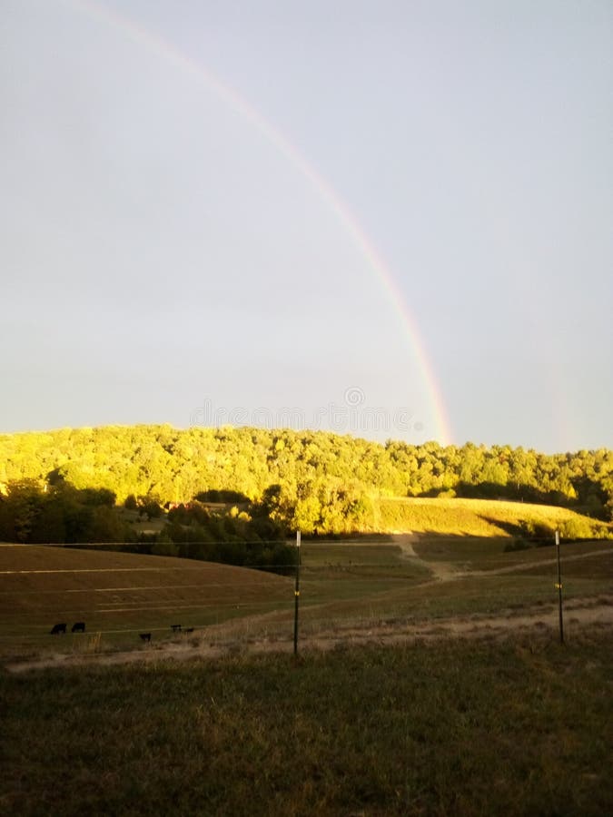 Rainbow Landscape with Trees and a Beautiful Field Stock Image - Image ...