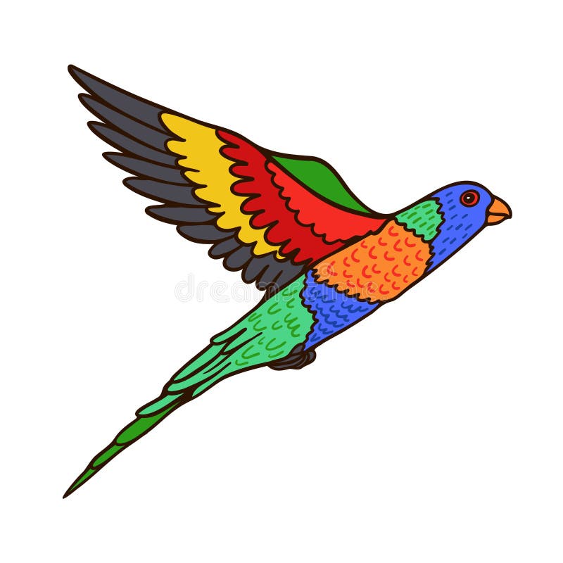 Rainbow Laurie Parrot Aussie Bird Color Vector Character Side View ...