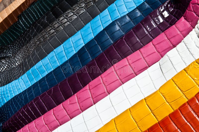 Rainbow of leather stock image. Image of collection, parallel - 22016831
