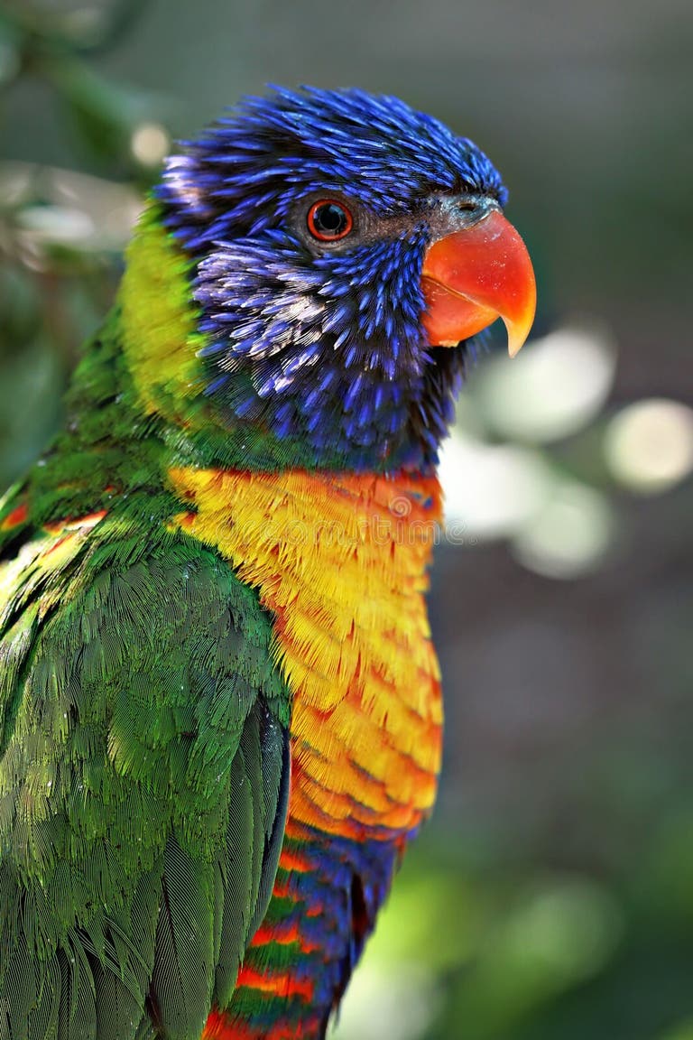 3,991 Lori Zumbrunnen Stock Photos - Free & Royalty-Free Stock Photos ...