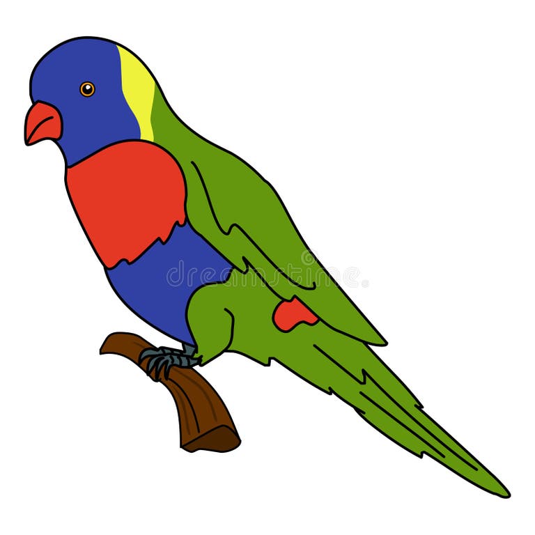 Rainbow Lorikeet Drawing Stock Illustrations – 182 Rainbow Lorikeet ...