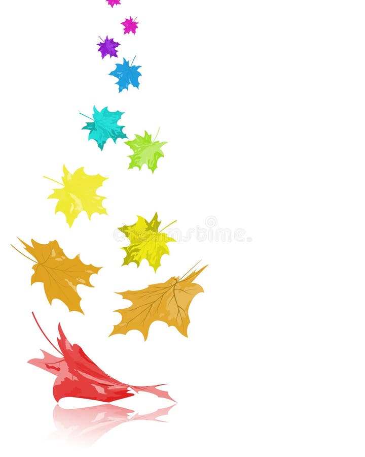 Rainbow Maple Leaves stock vector. Illustration of tree - 178456698