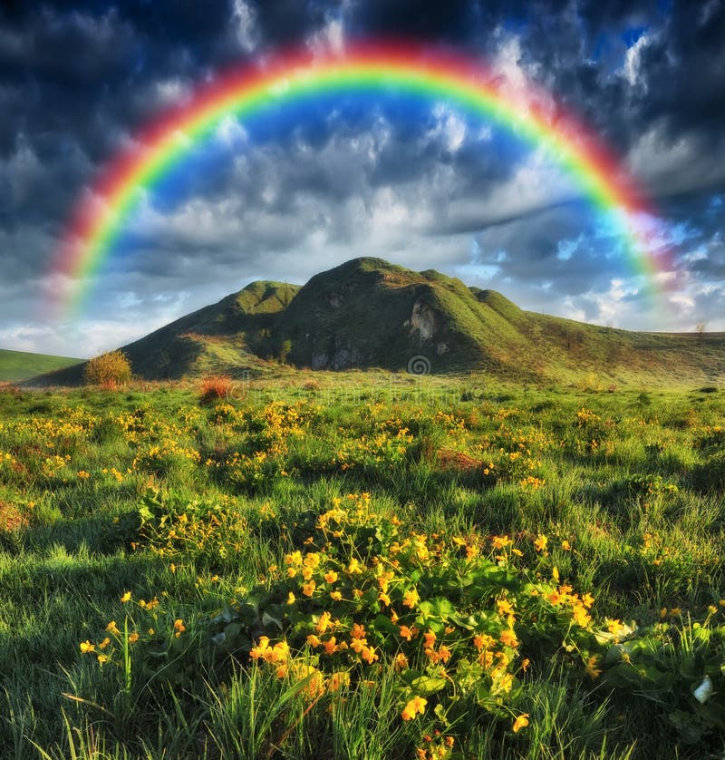 Rainbow in the Meadow. Picturesque Spring Morning Stock Photo - Image ...