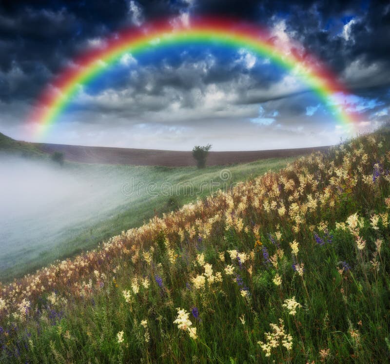 9,778 Rainbow Meadow Photos - Free & Royalty-Free Stock Photos from ...