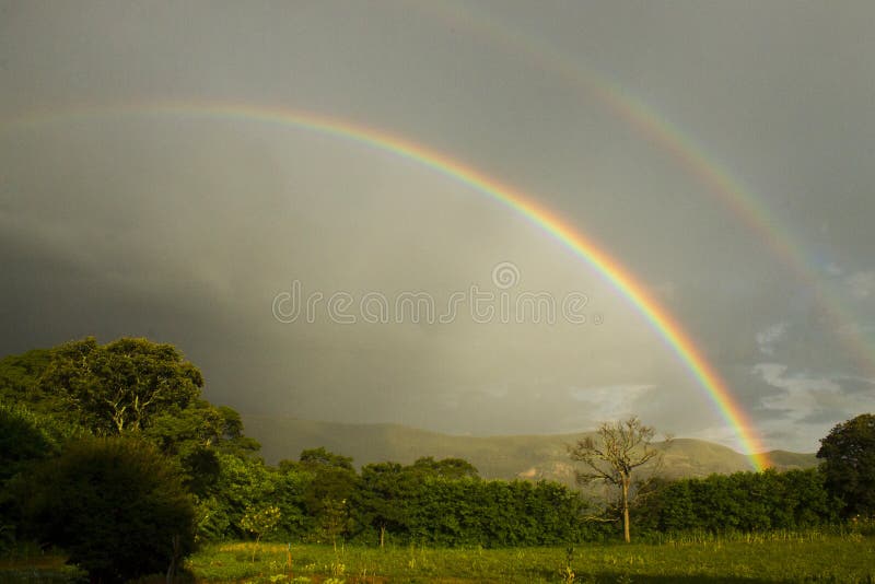 A Rainbow is a Meteorological Phenomenon that is Caused by Reflection ...