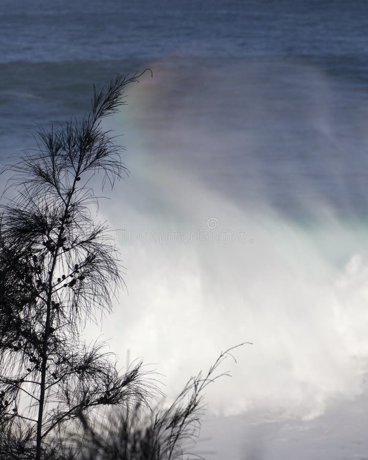 Rainbow in the Mist stock image. Image of bottom, waterfall - 56982465
