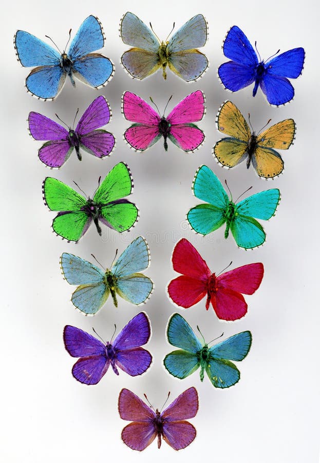 Rainbow Multicolor Small Butterflies Flying Up. Butterflies of ...