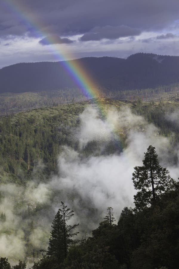 Rainbow Over California Forest Stock Image - Image of remote, vertical ...