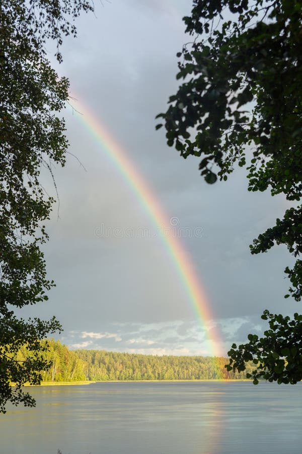 Rainbow Over Calm Water of a Forest Lake Stock Photo - Image of lake ...