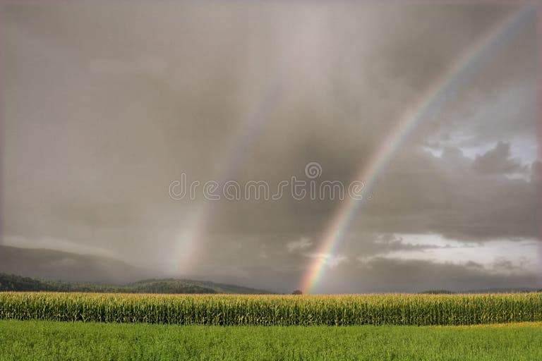 Rainbow over a corn field stock image. Image of agricultural - 7498945
