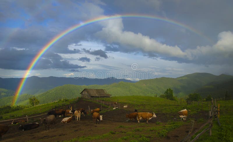 Rainbow over Farm Pasture stock photo. Image of quiet - 30621160
