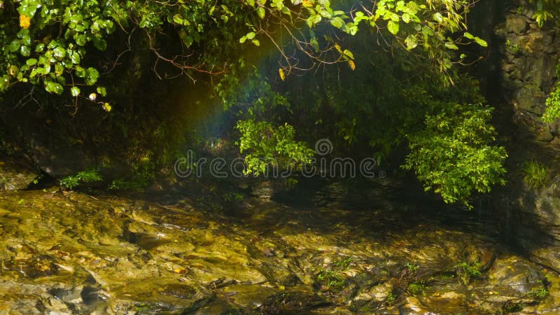 Rainbow Waterfall Effect Pure White of Water on Black Screen Stock ...