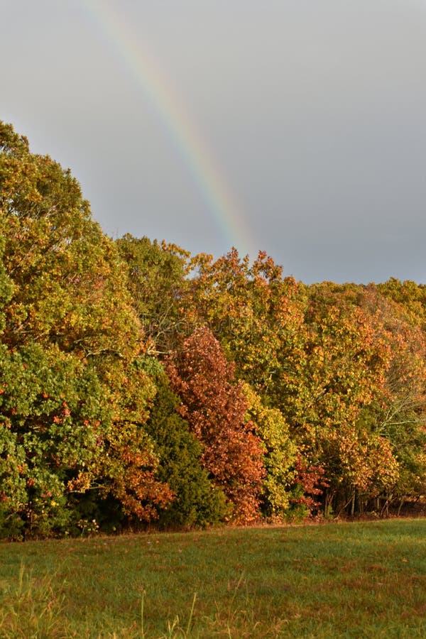 A Rainbow Over Fall Color Trees Stock Photo - Image of park ...