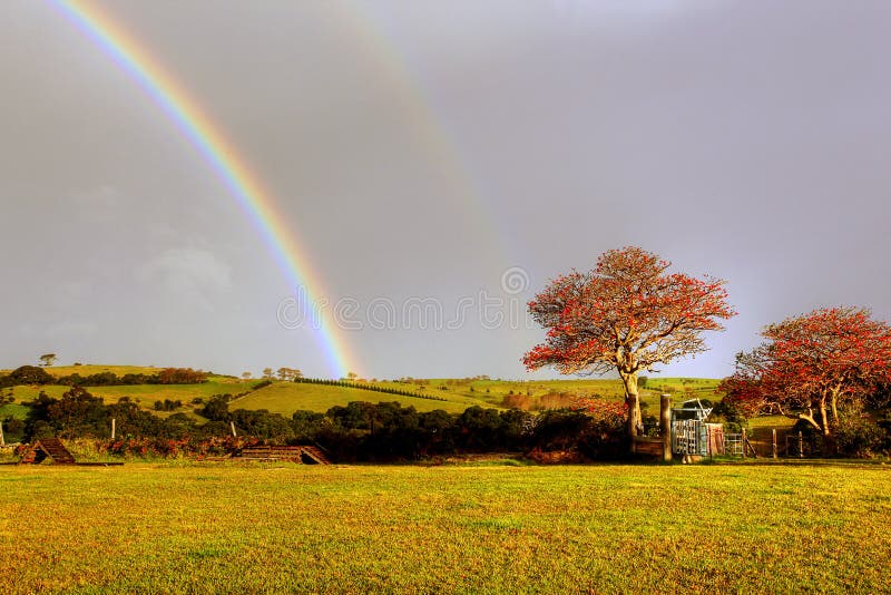 Rainbow over a farm stock photo. Image of grass, outdoors - 20024016