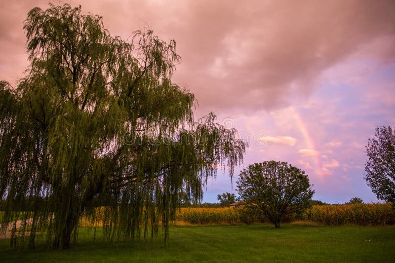Rainbow over Farm Pasture stock photo. Image of quiet - 30621160