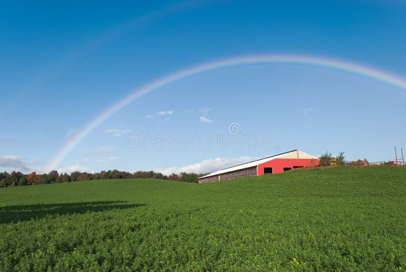 Rainbow over a Farm Field stock image. Image of nobody - 18891173