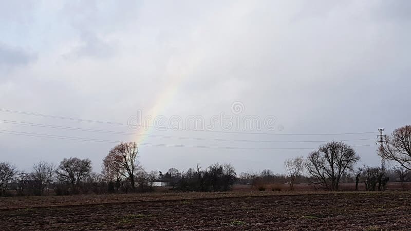 Rainbow over the field stock image. Image of field, tree - 176368813