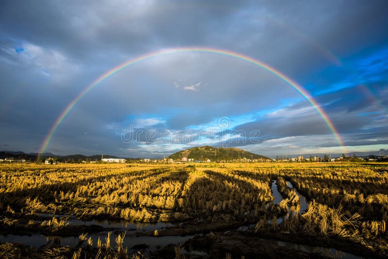 3,664 Rainbow Over Field Stock Photos - Free & Royalty-Free Stock ...