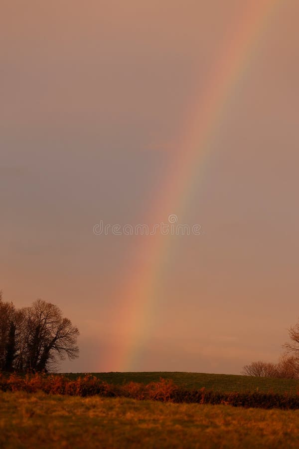Rainbow Over a Field in Late Sunset Stock Image - Image of scenic, lake ...