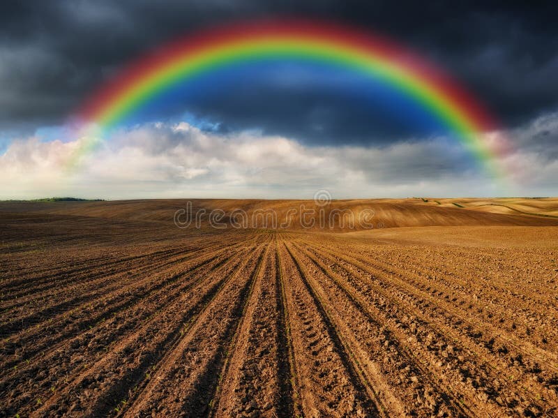 Rainbow over the field stock photo. Image of harvest - 165750304