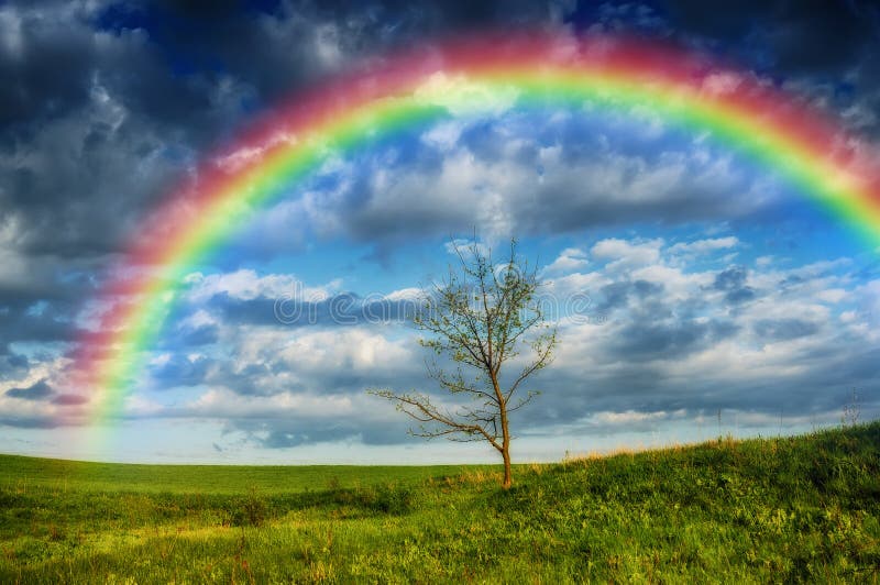 Rainbow over the field stock image. Image of countrified - 165750365