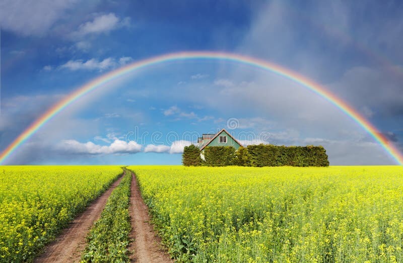 Rainbow over green field stock photo. Image of environment - 10915476