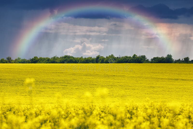 Rainbow over the field stock image. Image of clouds, fresh - 71582235